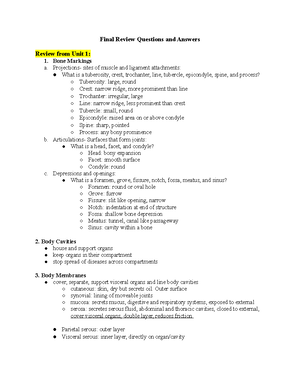 [Solved] SWOT Analysis for JD Sports - Fundamentals Of Human Anatomy ...