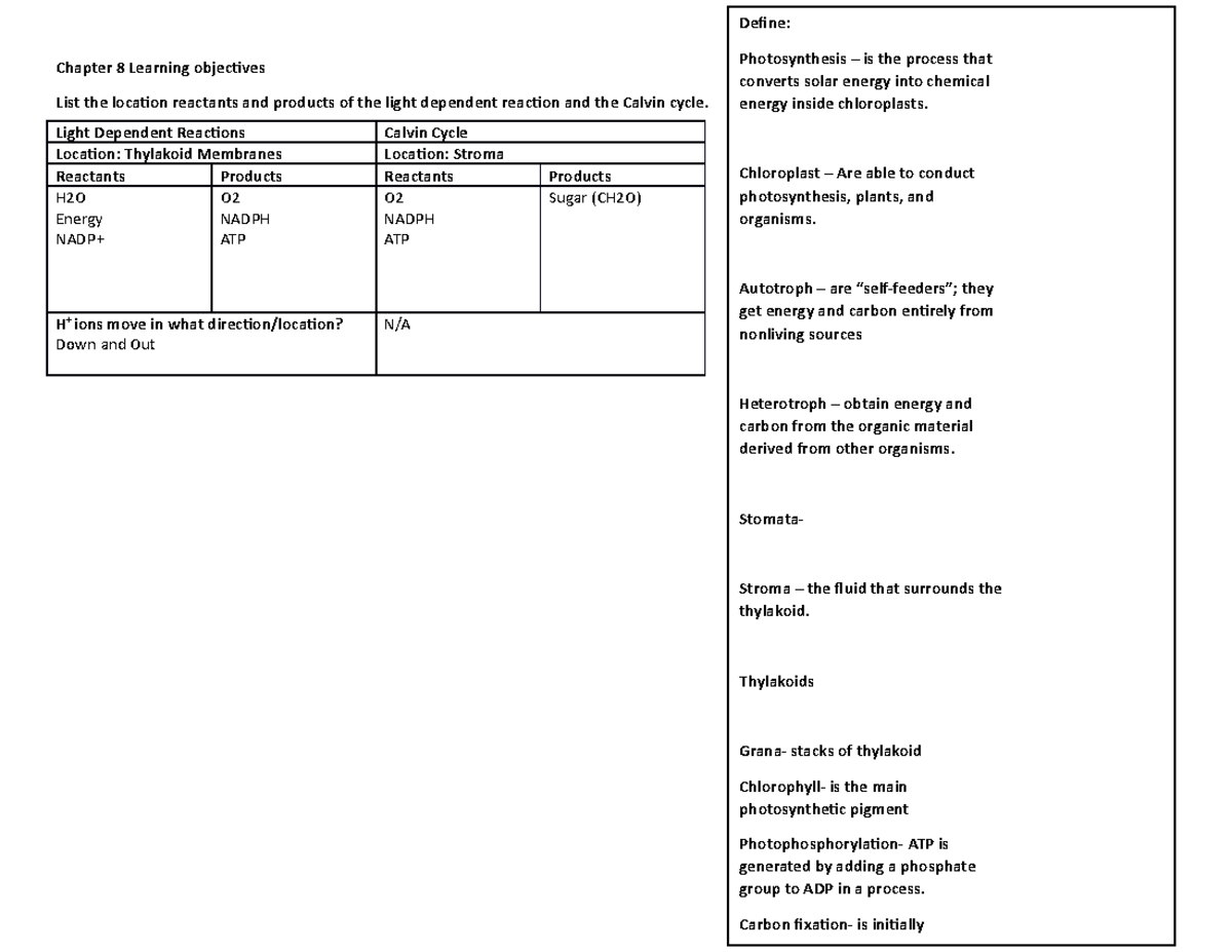 BIOL 1406 Chapter 8 SLO - Chapter 8 Learning objectives List the location reactants and products ...