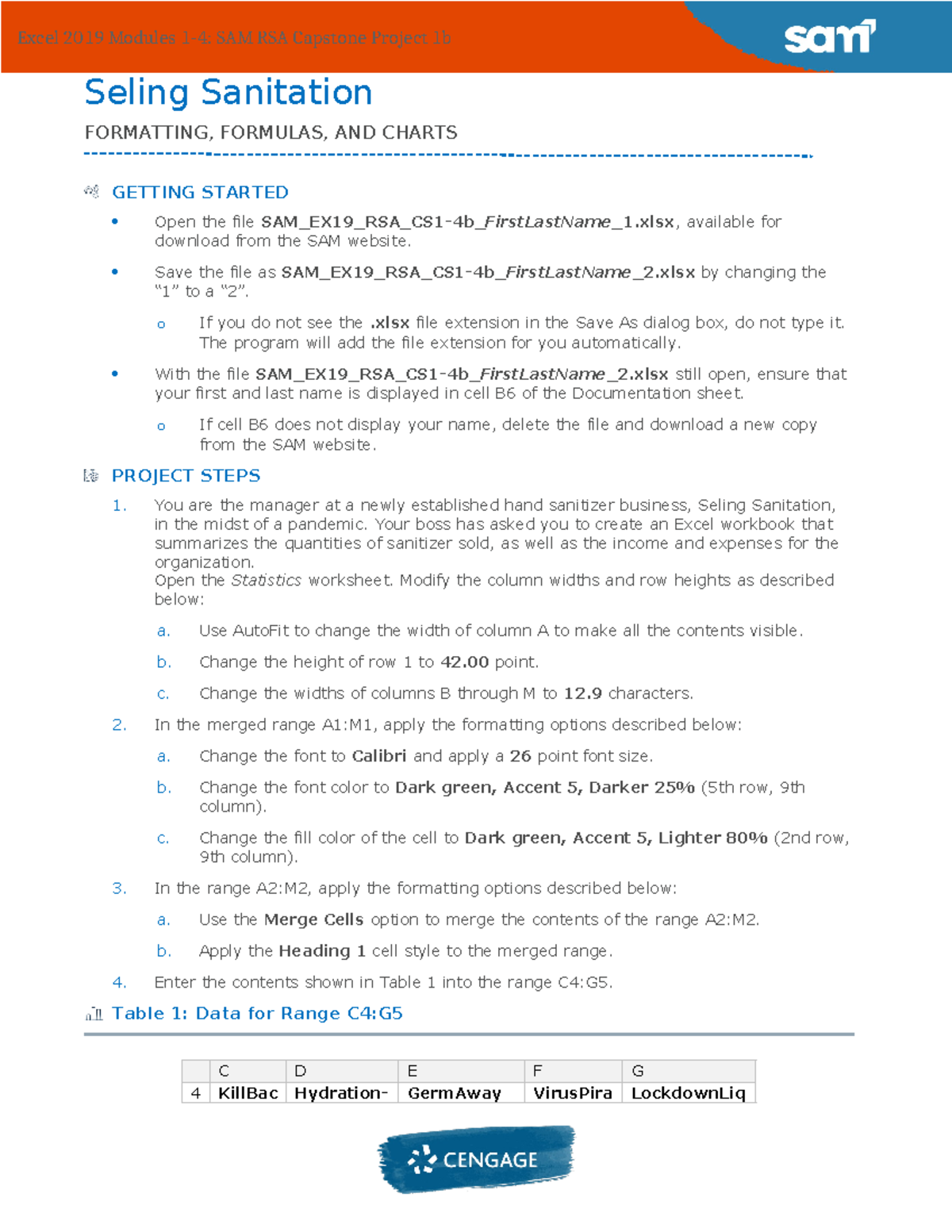 Instructions SAM EX19 RSA CS1-4b - Seling Sanitation FORMATTING ...