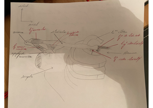 2) Les postes au hand - LES POSTES EN HANDBALL C PRAG EPS ULCO STAPS ...