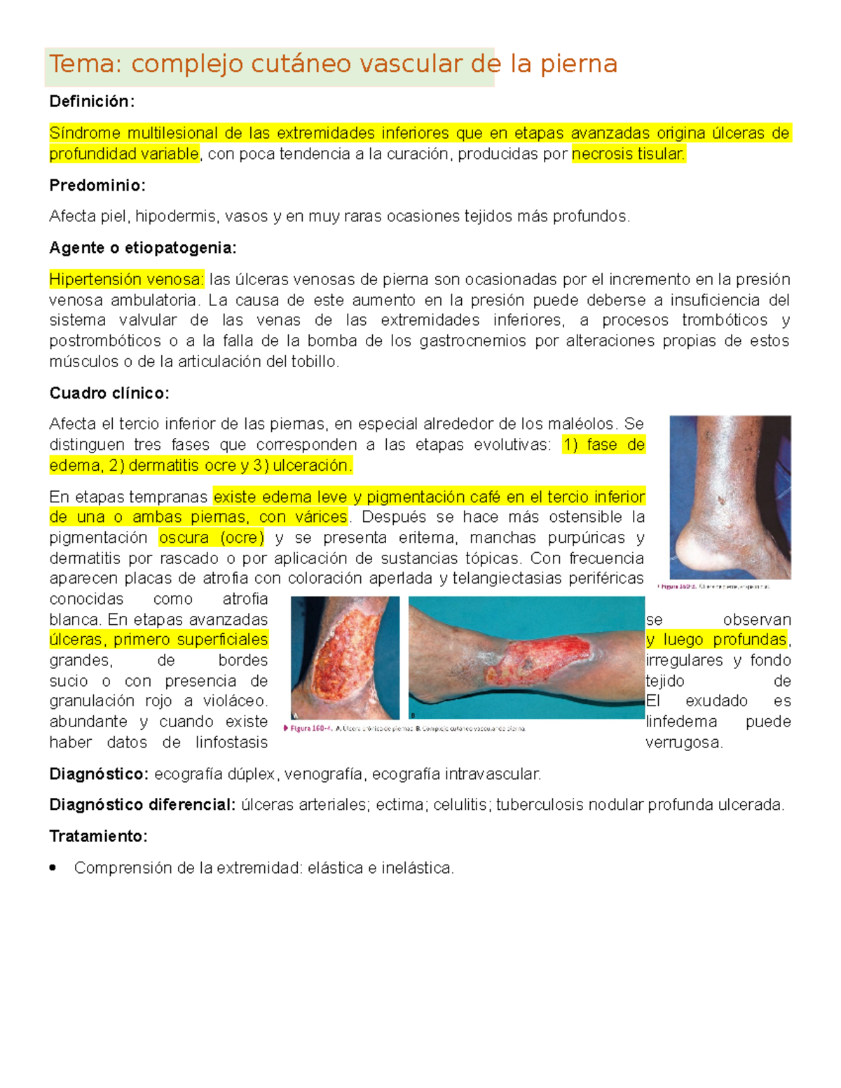 Complejo vascular de la pierna - Tema: complejo cutáneo vascular de la ...
