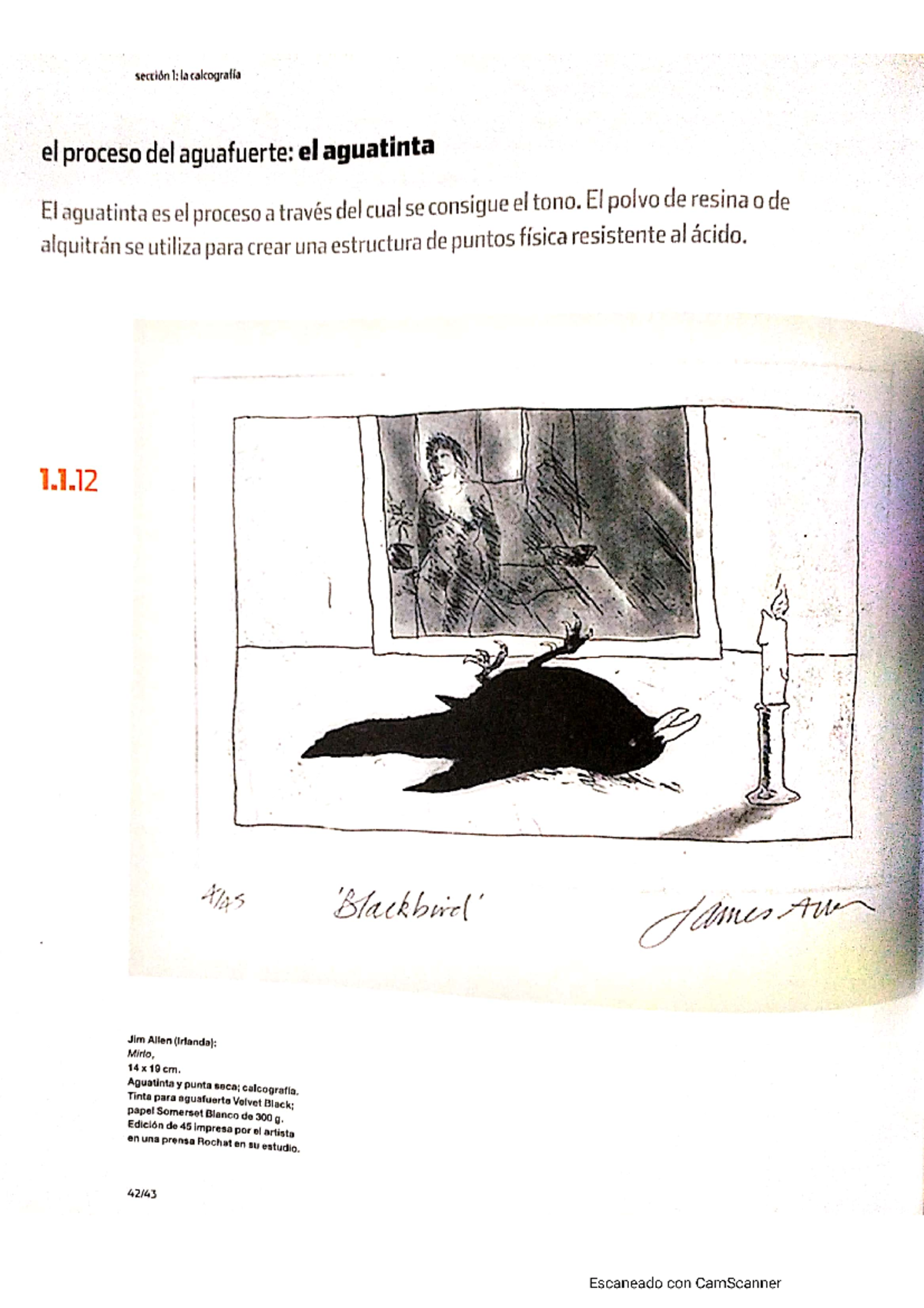 El proceso del agua fuerte Agustina. La impresión como arte - Taller ...