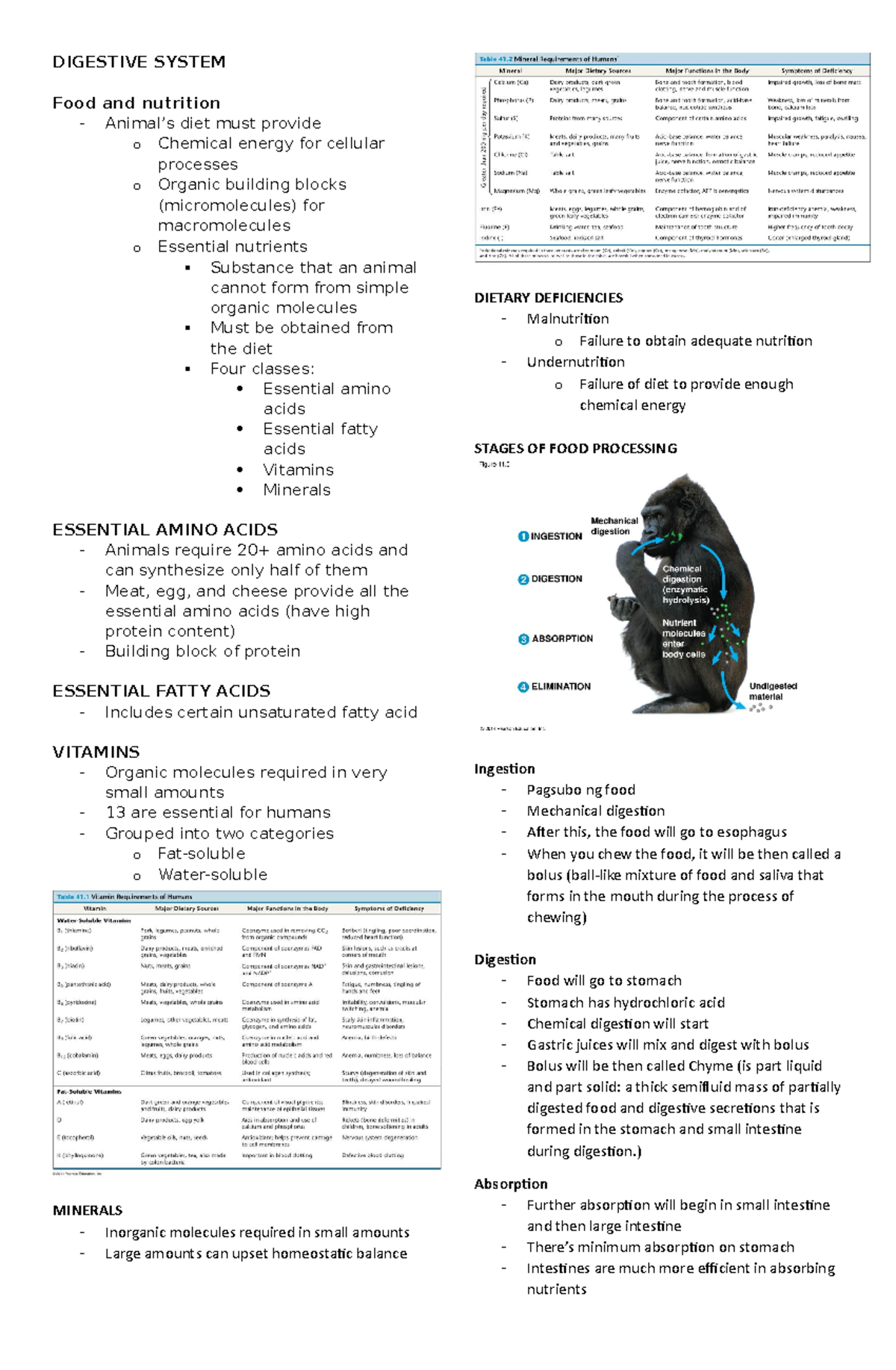Digestive System - Lecture notes 3 - DIGESTIVE SYSTEM Food and ...