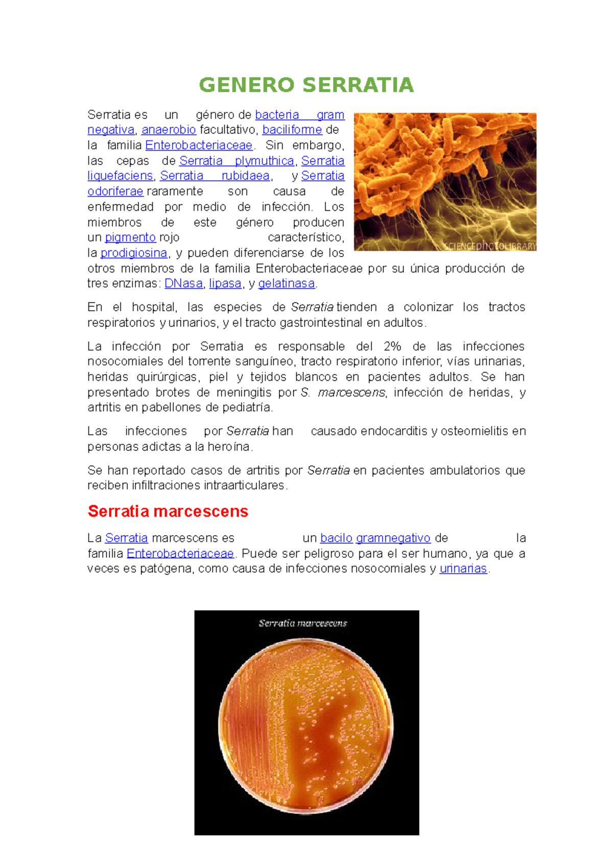 Genero Serratia - GENERO SERRATIA Serratia es un género de bacteria ...