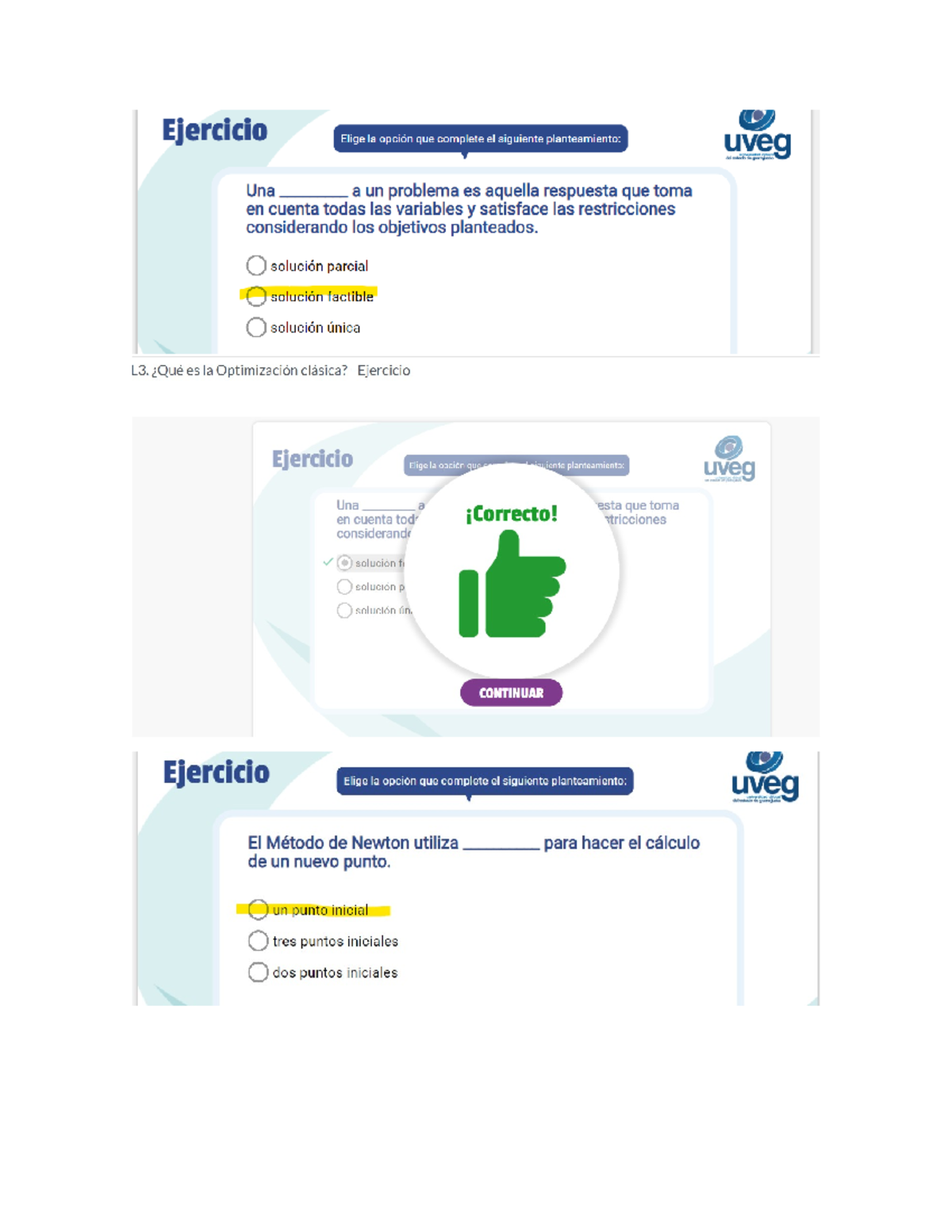 L3. Qué es la Optimización clásica - Ejercicio - Ejercicio Elige la opción que complete el ...