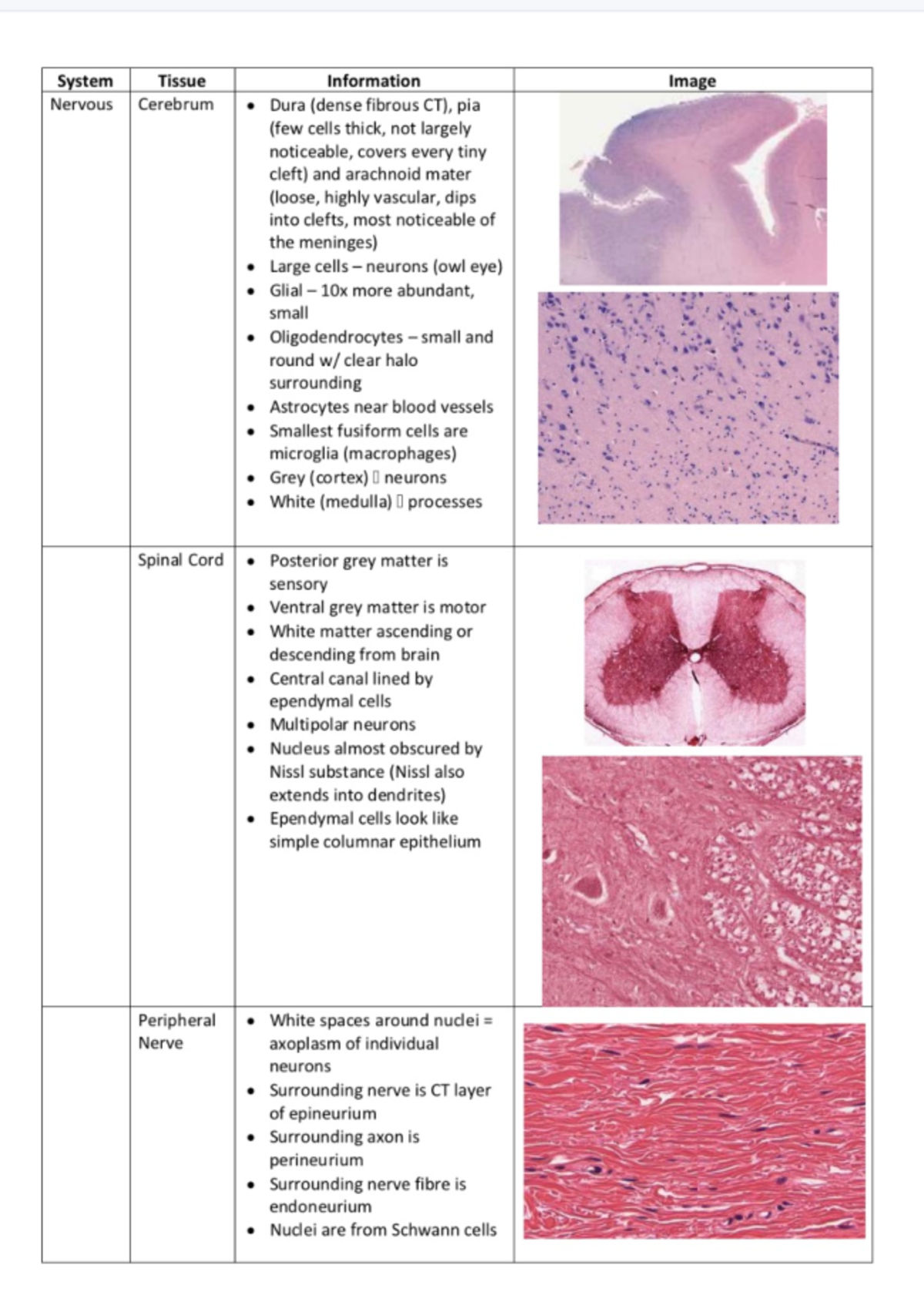 notes and photos - 091500 - Studocu