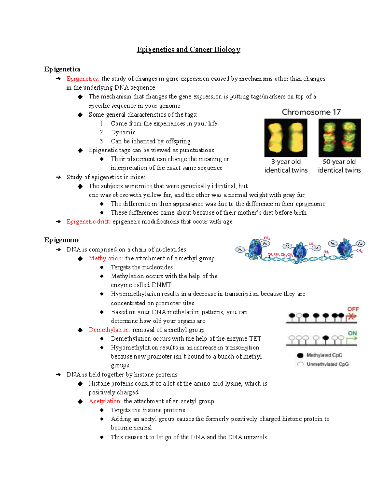 Topic #12 13 Epigenetics and Cancer Biology - Epigenetics and Cancer ...