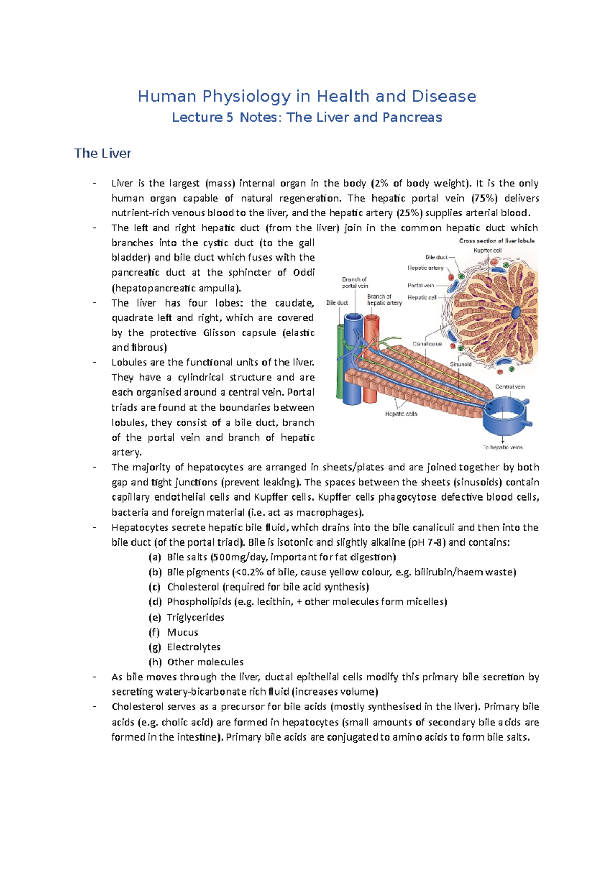 Lecture 5 Notes (The Liver) - Human Physiology in Health and Disease ...