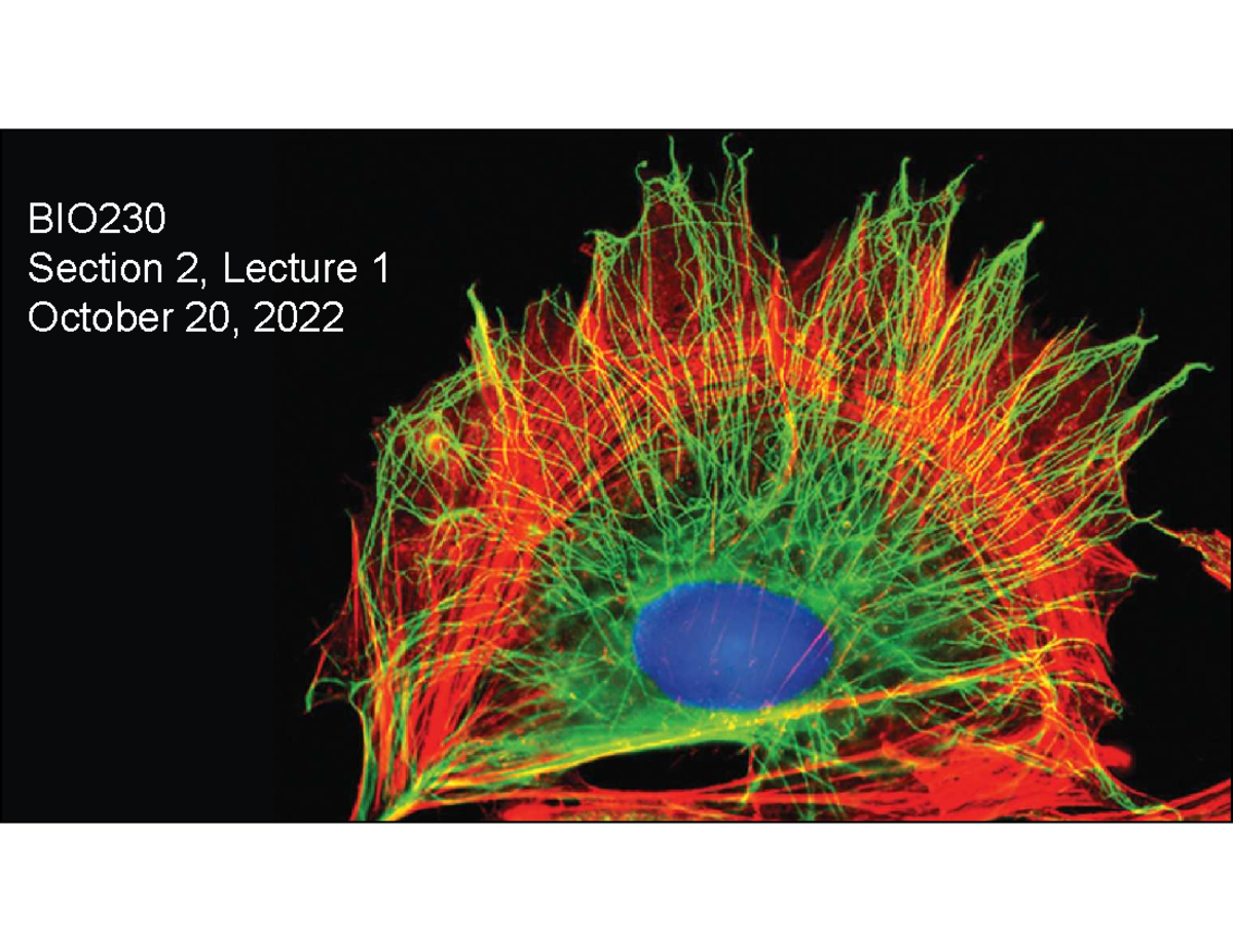 S2L1-3 - Lecture Slides - BIO Section 2, Lecture October 20, Reminders Check Quercus for - Studocu