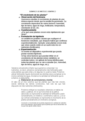 Cultivo de Palta - Las hojas son simples, enteras; forma: elípticas ...