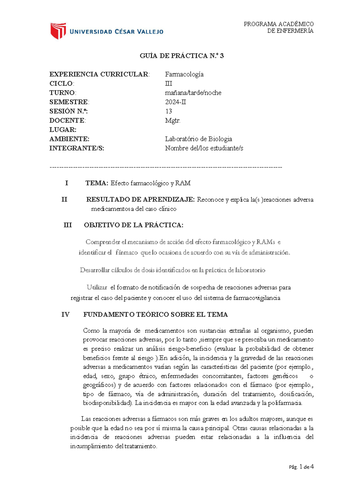 GU%C3%8DA%20PR%C3%81 Ctica%203 - DE ENFERMERÍA GUÍA DE PRÁCTICA N 3 ...