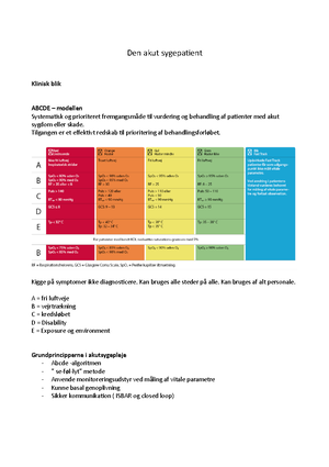 Disposition eksempel til prøveeksamen - Navn: Lisbeth Bak Holdnummer ...