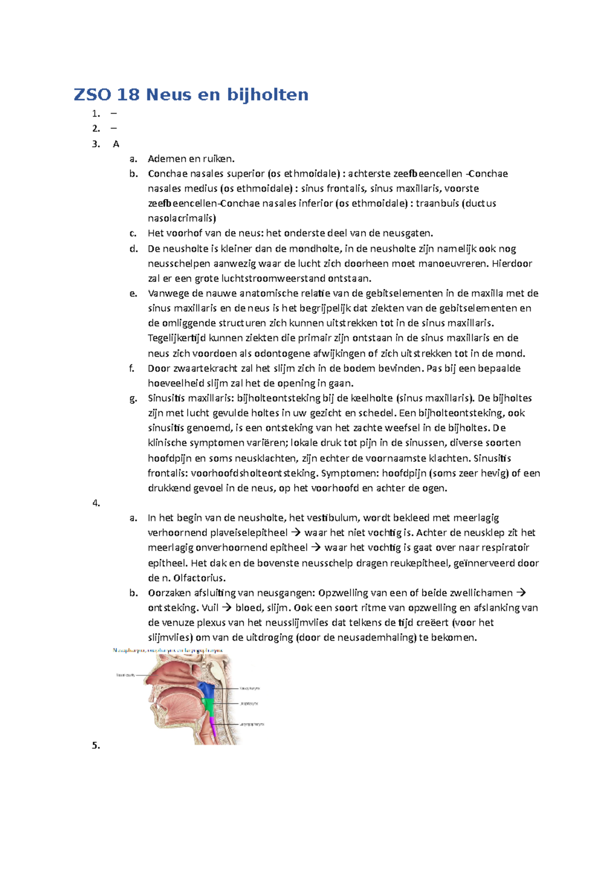 Zso's 18, 19 en 20 - Zso's - ZSO 18 Neus en bijholten 1. – 2. – 3. A a ...