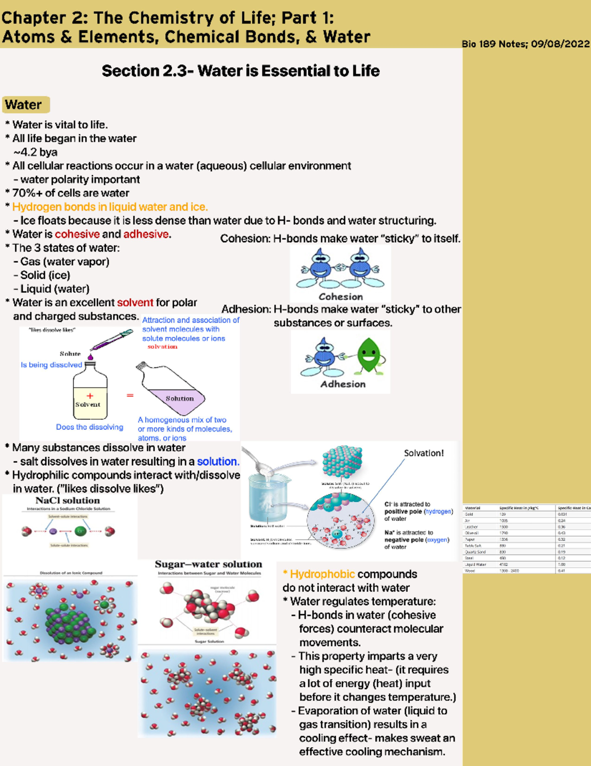 Chapter 2 pg8 - BIOL 189 - Studocu