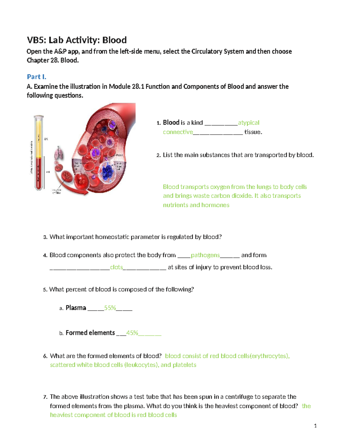 VB5-Lab Activity- Blood Blood Typing and Hematocrit - VB5: Lab Activity ...