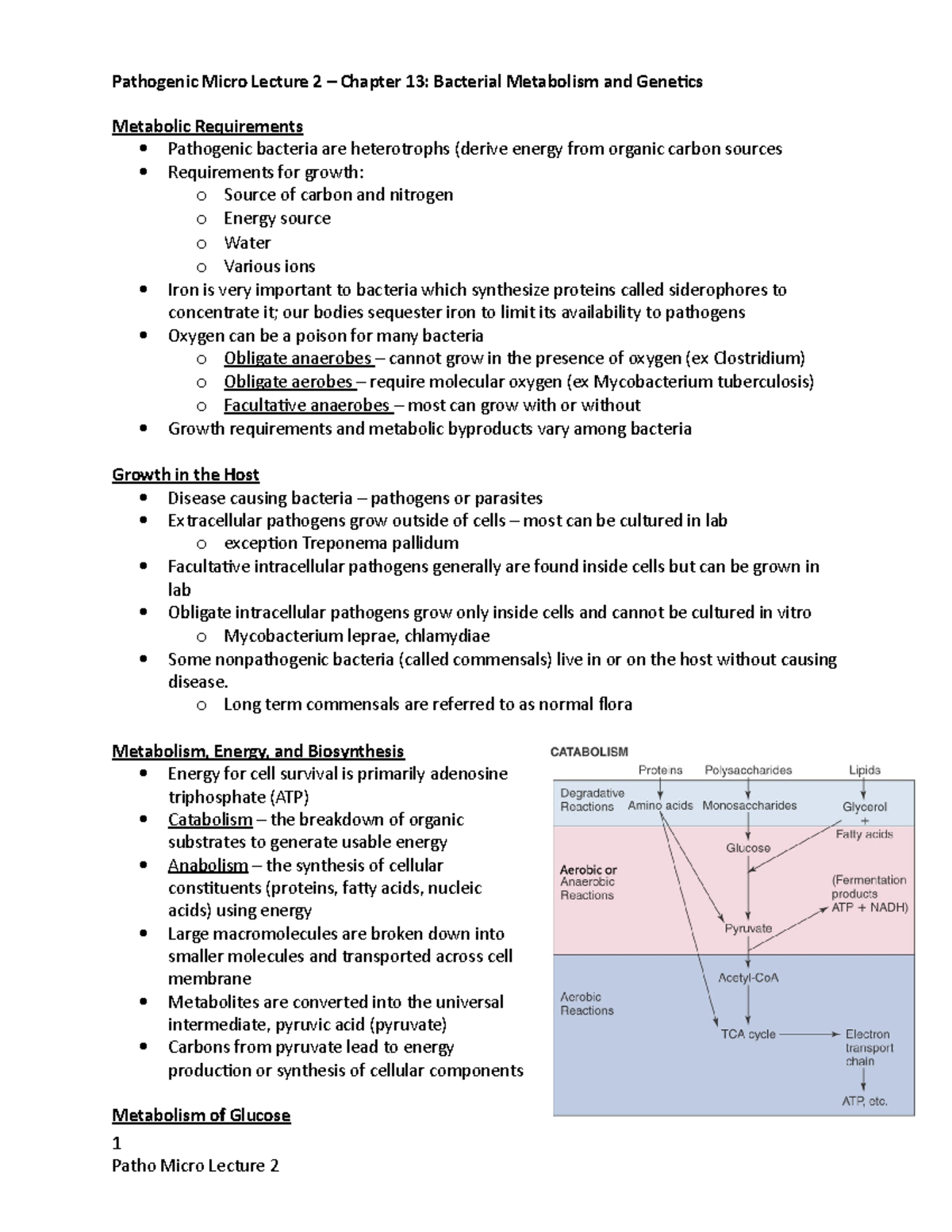 Patho Micro Lecture 2 - Pathogenic Micro Lecture 2 – Chapter 13 ...