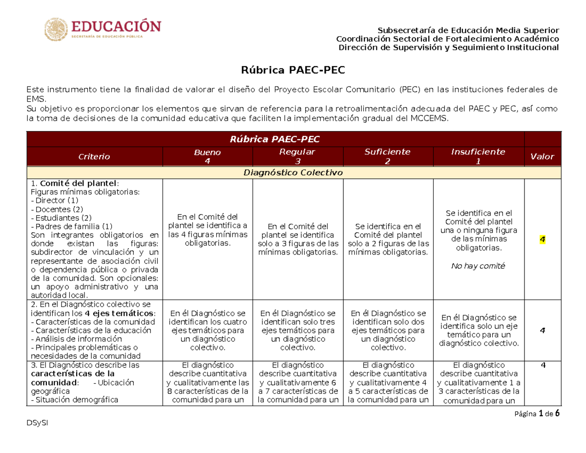 Dsysi Rubrica PAEC PEC 110124 evaluado - Coordinación Sectorial de Fortalecimiento Académico ...