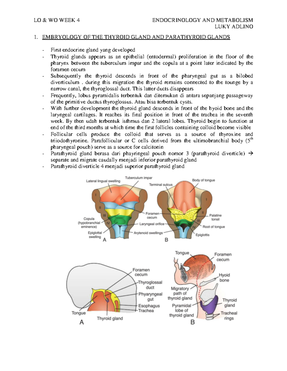 LO WO WEEK 4 ENDO LA - Pembahasan Learning Outcomes Endocrine - LUKY ...