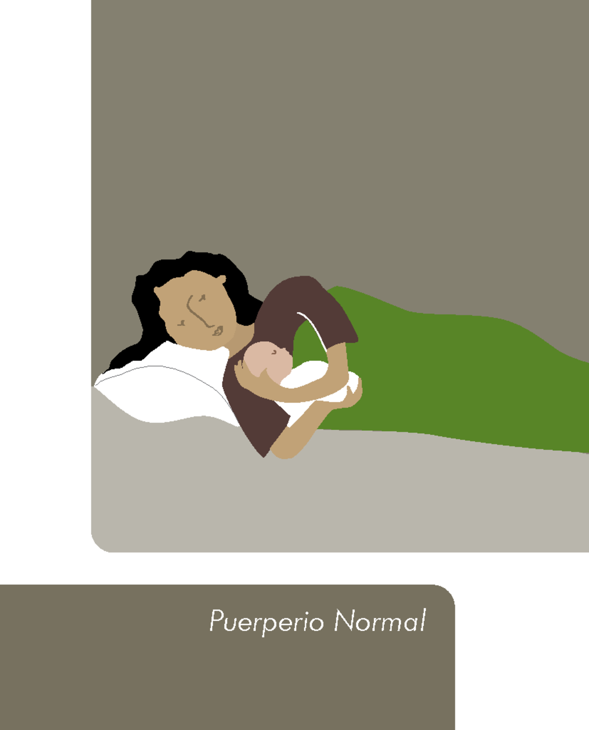 Puerperio Normal - Componente Normativo Materno - Puerperio Normal ...