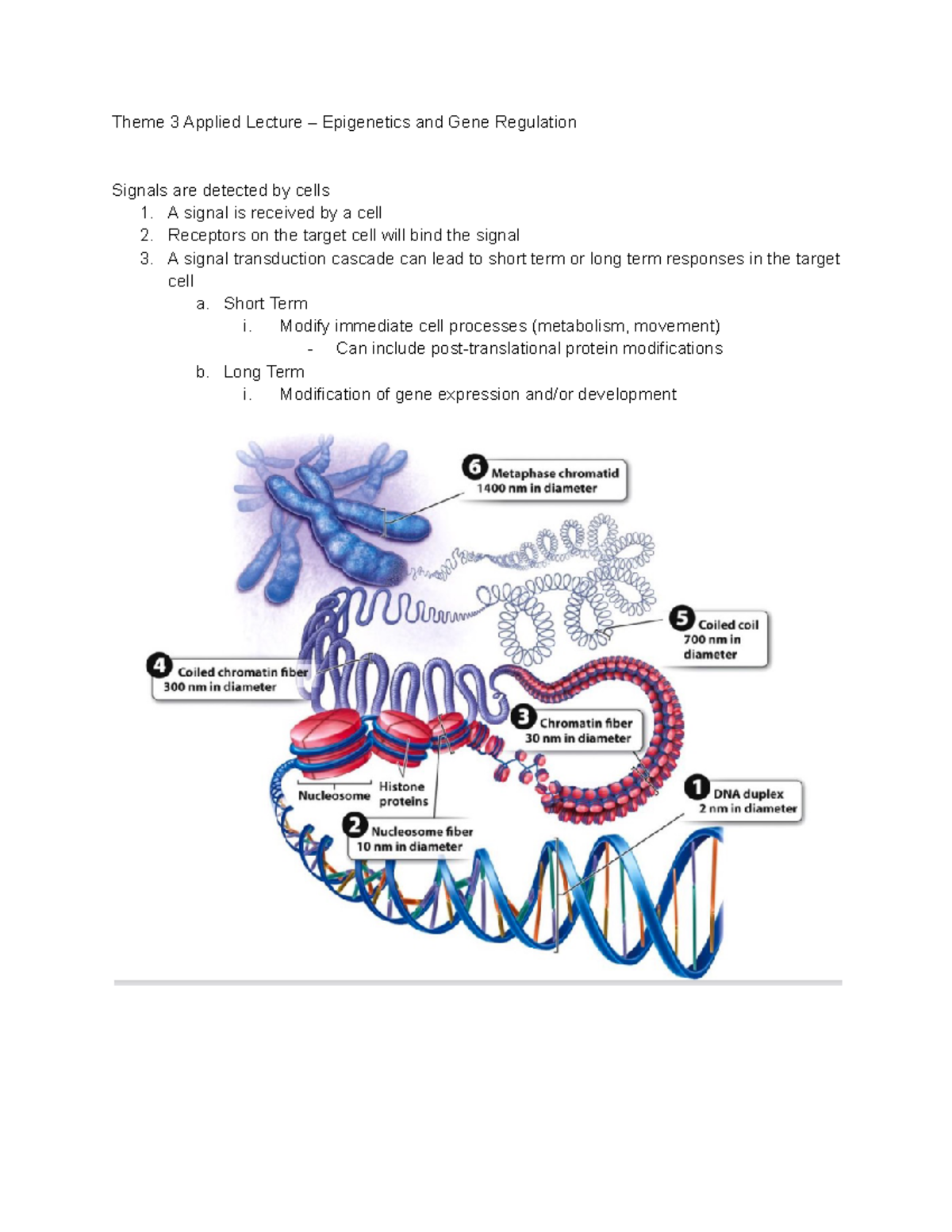 Theme 3 Applied Lecture 2 - Theme 3 Applied Lecture – Epigenetics and ...