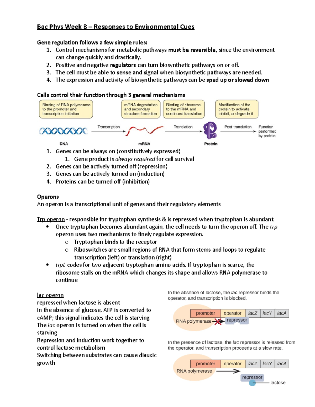 Bac Phys Week 8 Lecture Notes - Bac Phys Week 8 – Responses to ...