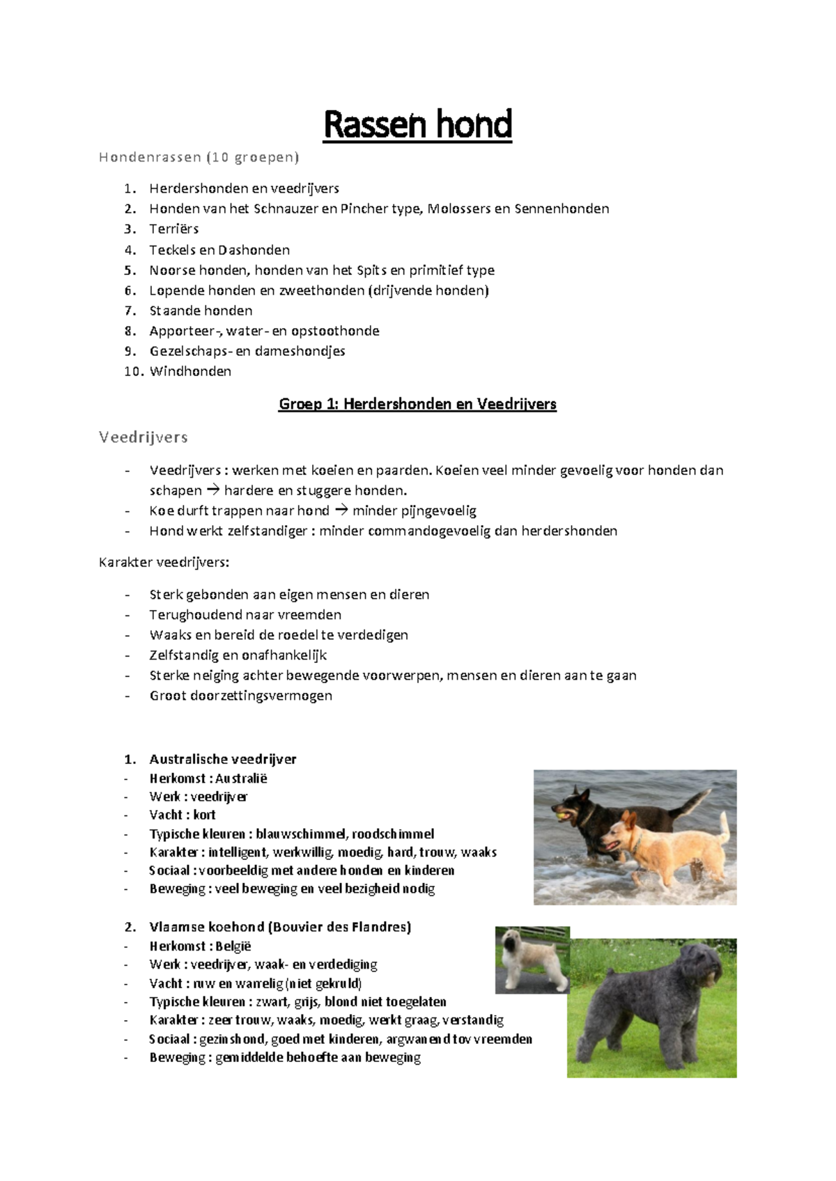 Samenvatting rassenleer - hondenrassen - Rassen hond Hondenrassen (10 ...