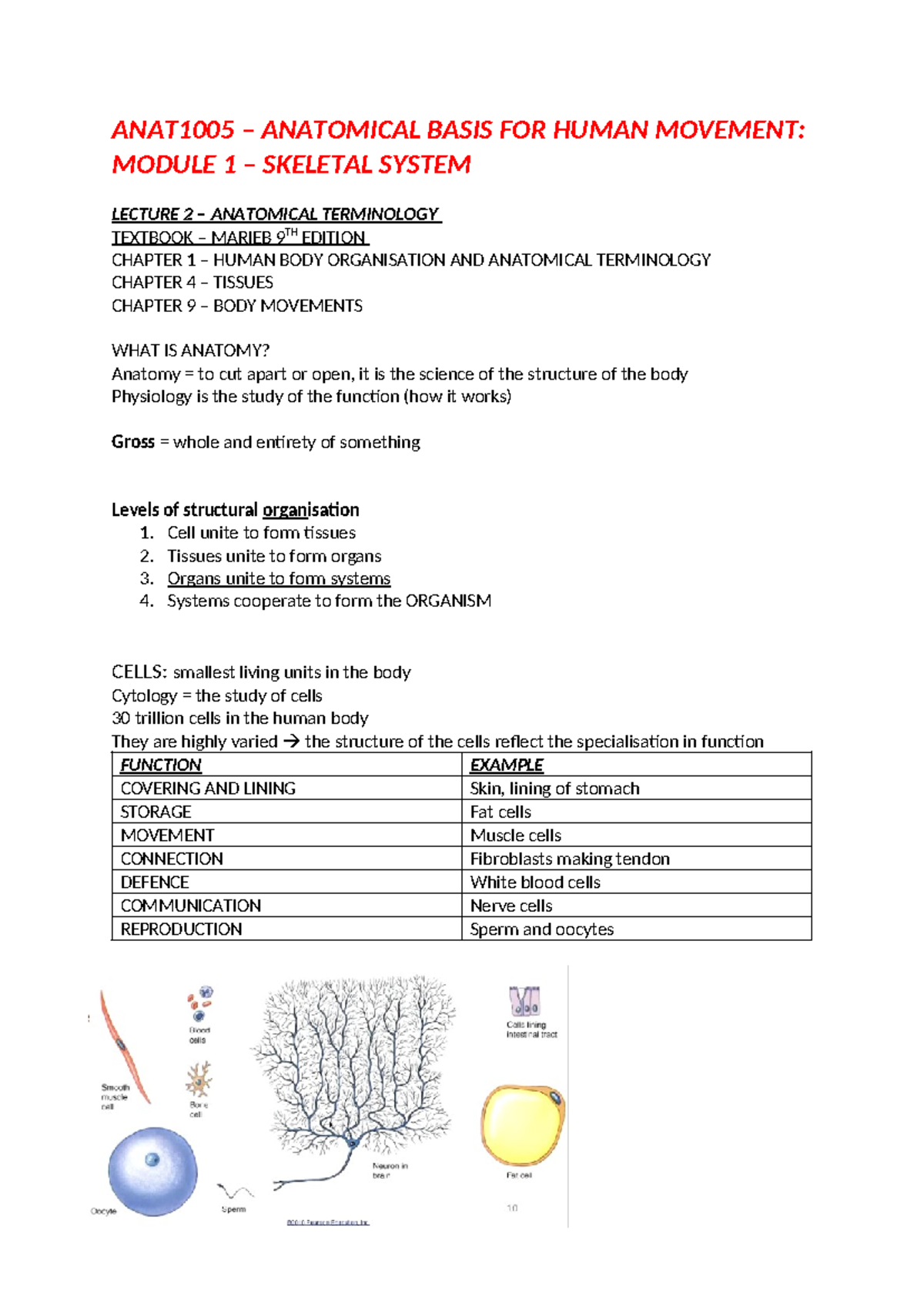ANAT1005 Module 1 Skeletal System Notes - ANAT1005 – ANATOMICAL BASIS ...