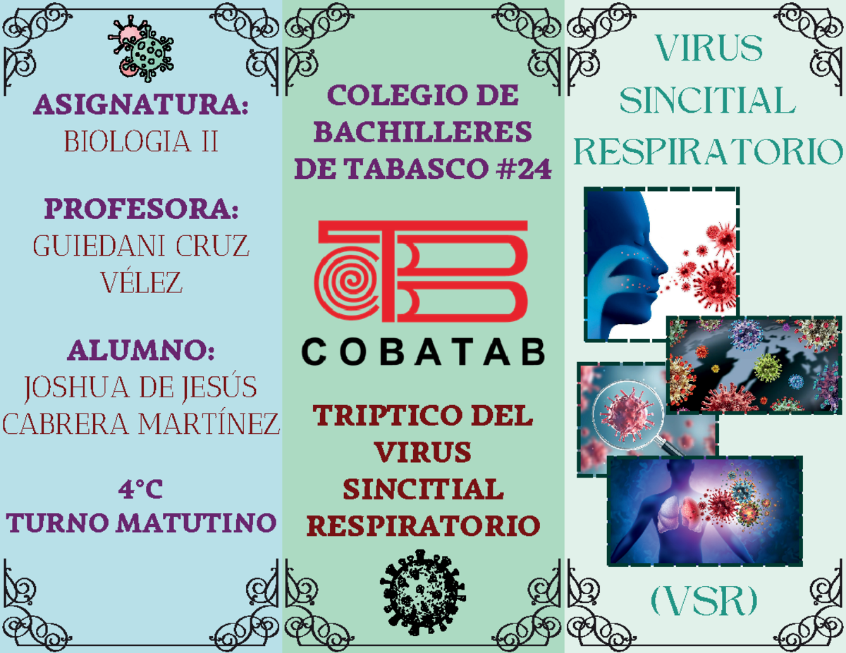 Triptico De Biologia Biology Virus Sincitial Respiratorio
