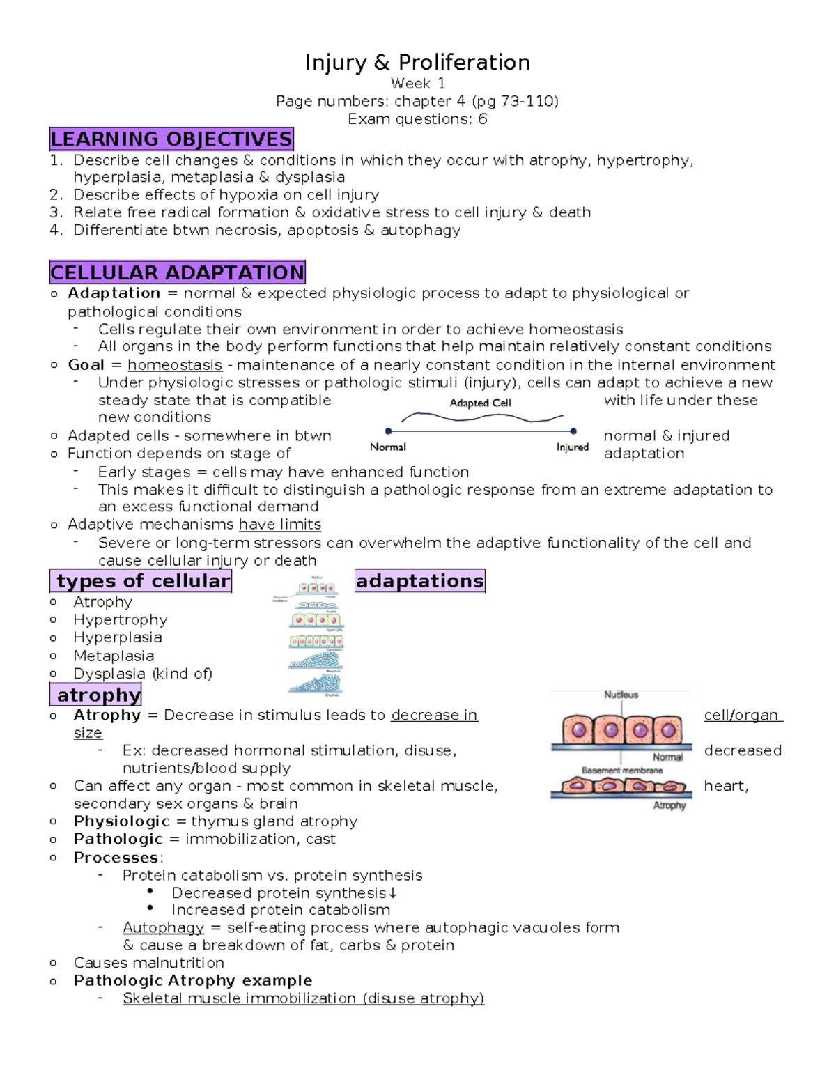 Injury & proliferation - Injury & Proliferation Week 1 Page numbers ...