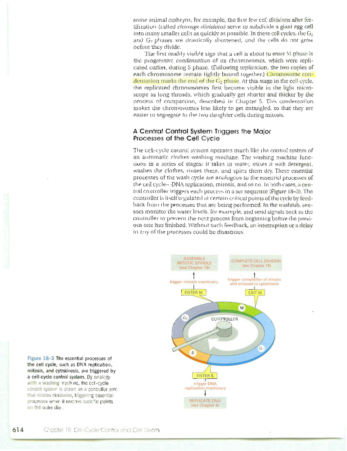 122518483 Essential Cell Biology 2nd ed 22 - Biotecnologia - Studocu