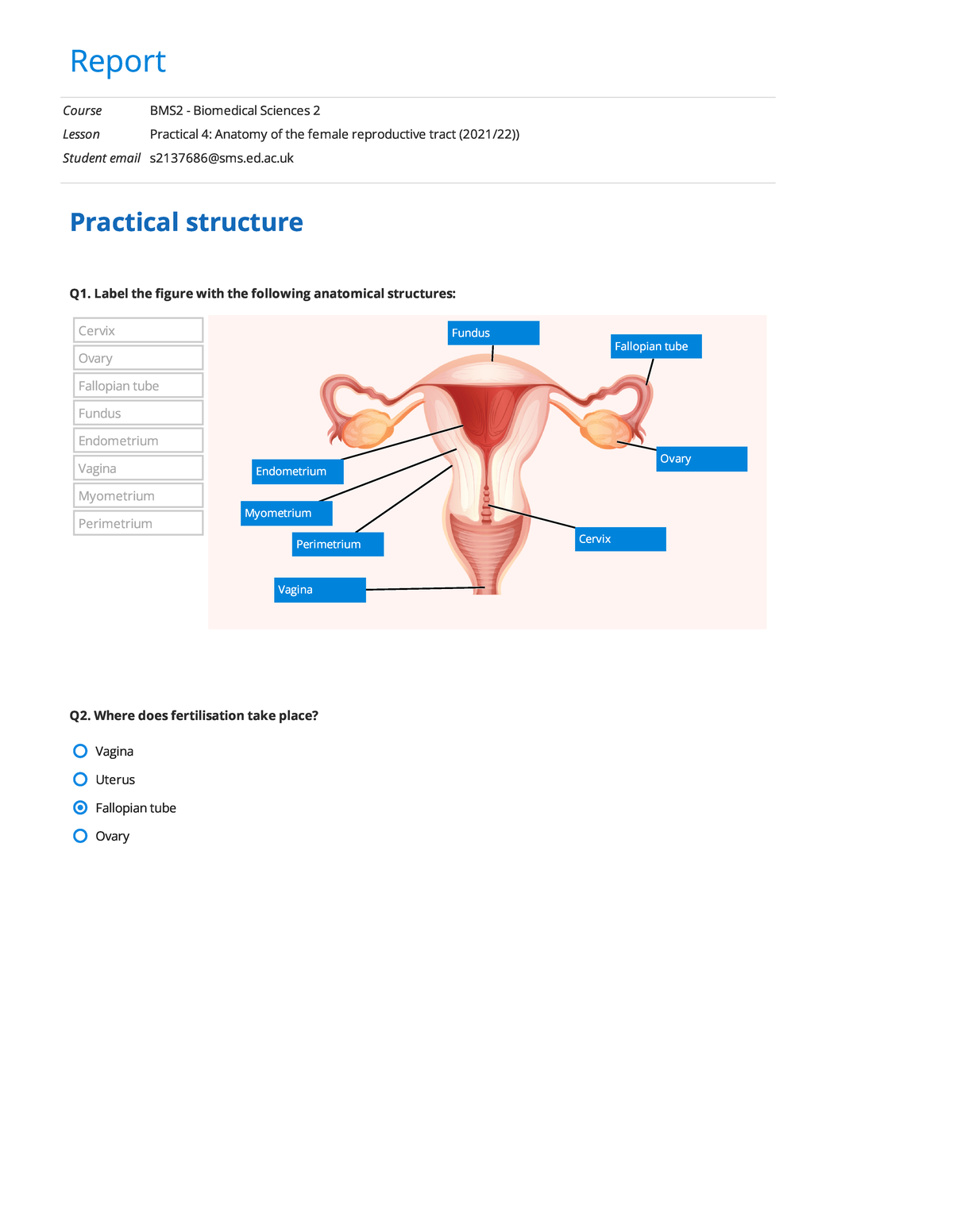 Female Anatomy - Practical assignments undertaken on Lt platform during ...