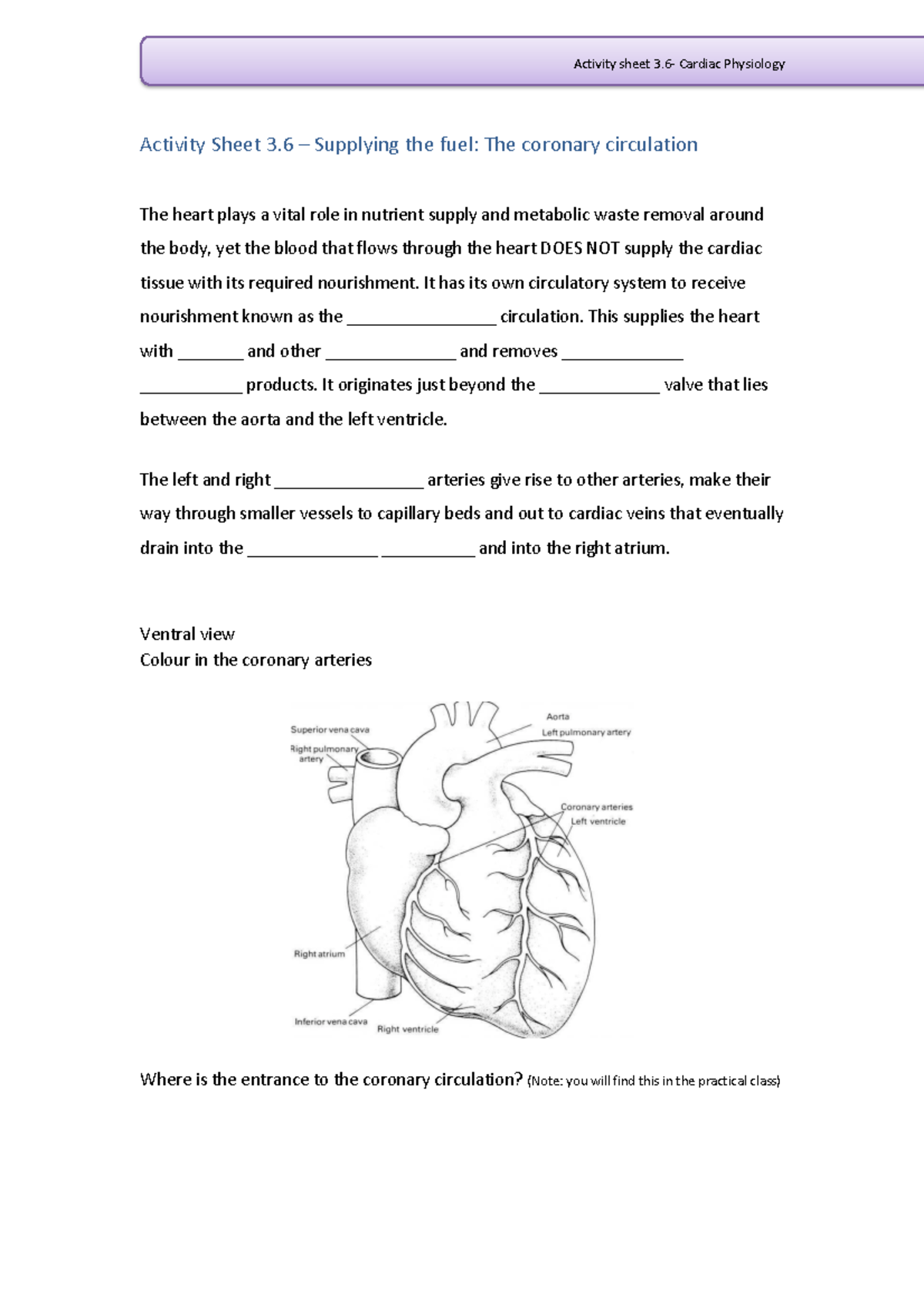 Activity Sheet 3.6 - Cardiac Physiology - Activity sheet 3- Cardiac ...