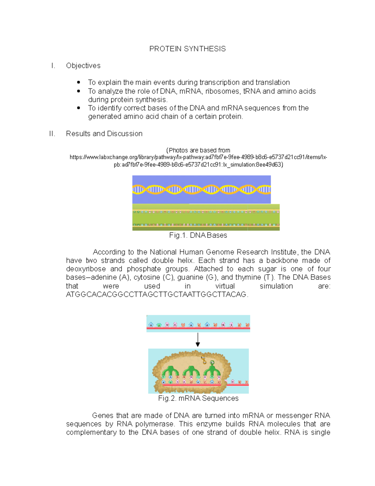 Protein synthesis - PROTEIN SYNTHESIS I. Objectives To explain the main ...