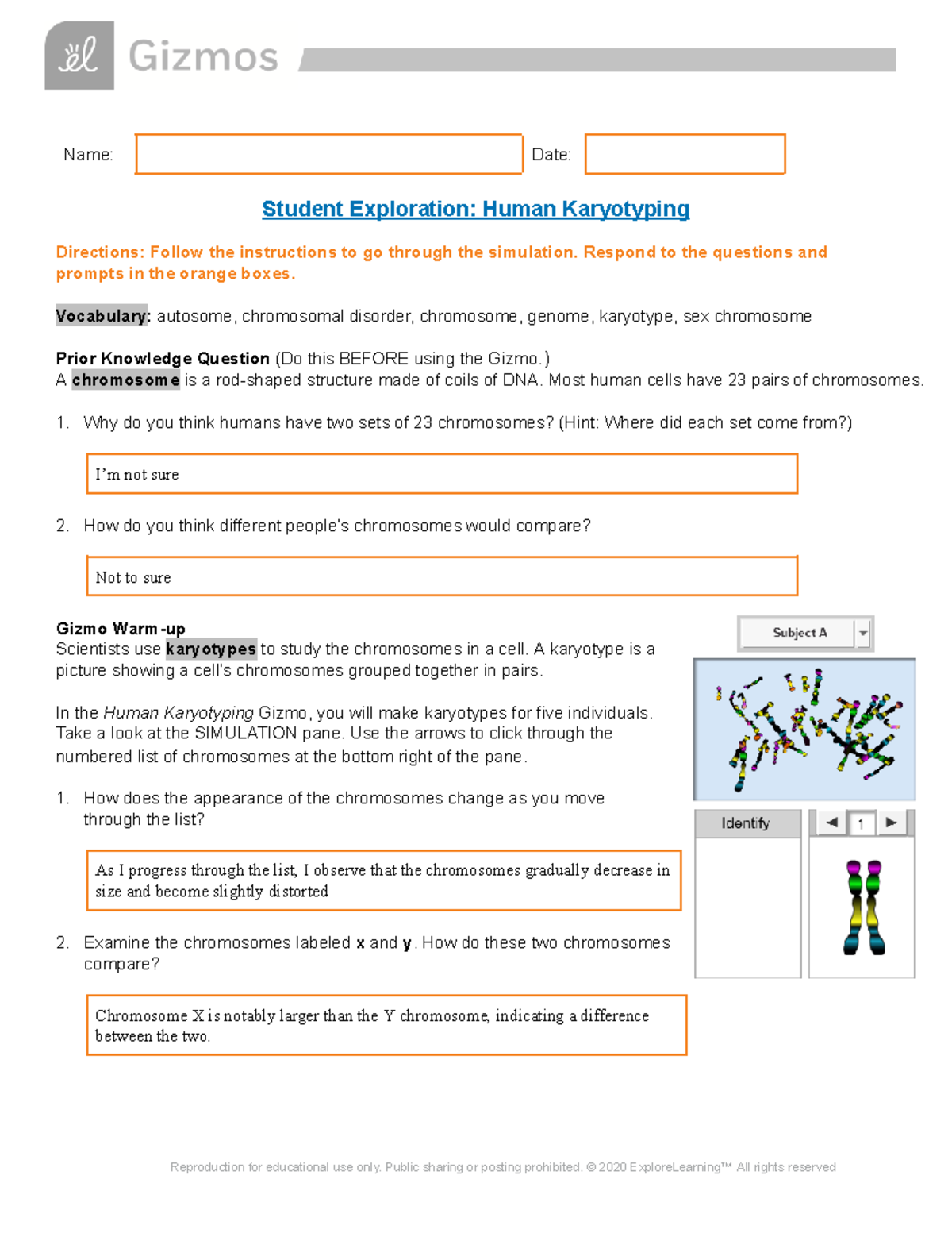 Kami Export - Michael Pena-Cruz of Gizmos - Human Karyotyping student ...