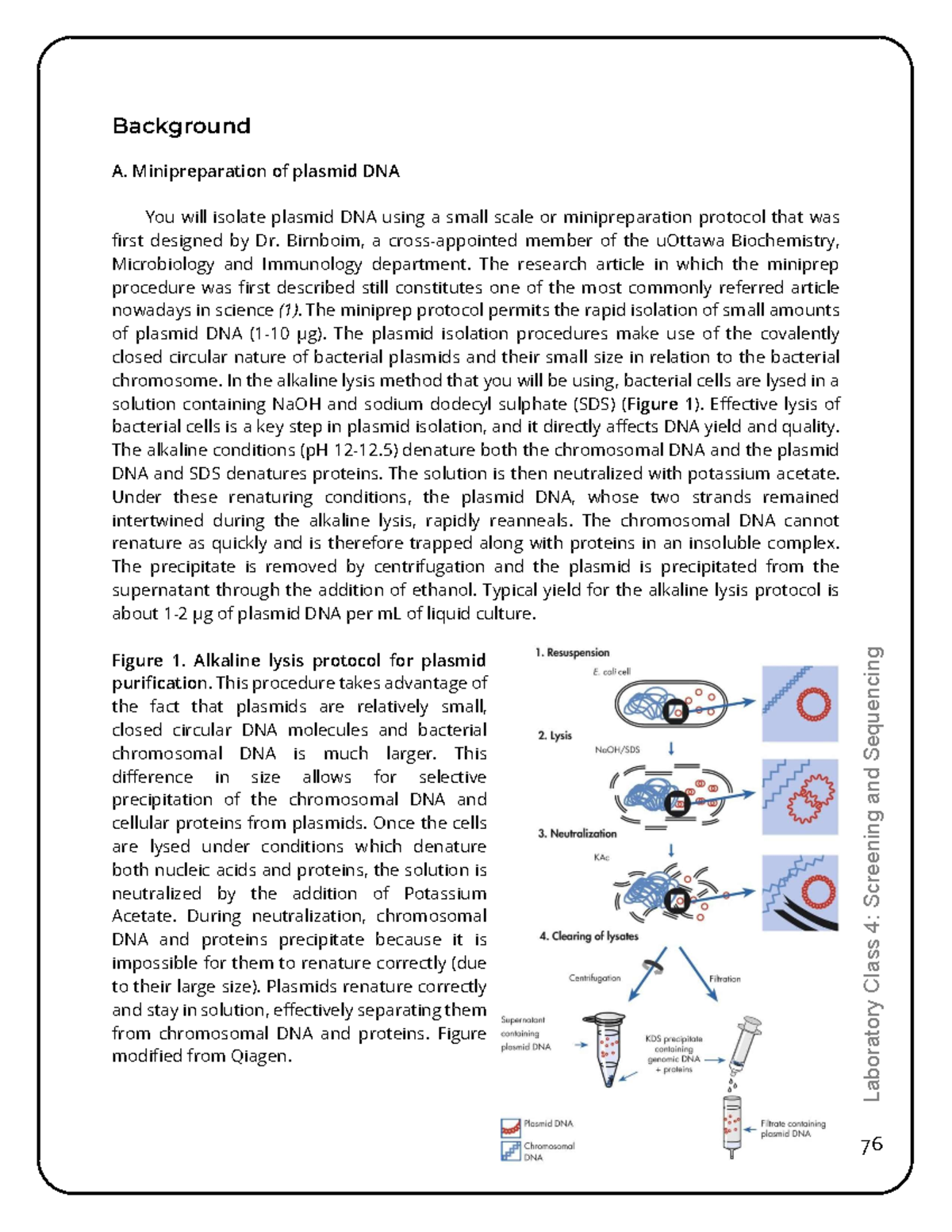 L4 Intro - Lab 4 - Laboratory Class 4: Screening and Sequencing Background A. Minipreparation of ...