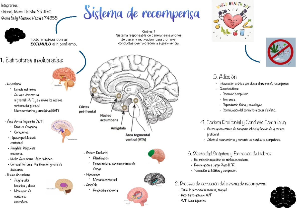 Sistema de recompensa - Sistema de recompensa Qué es? Sistema ...