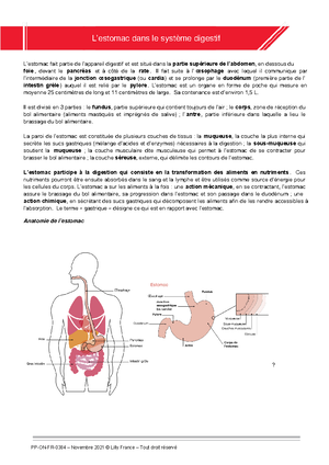 CM Logique musculo-squelettique - Introduction Générale : Qu’est ce qui ...