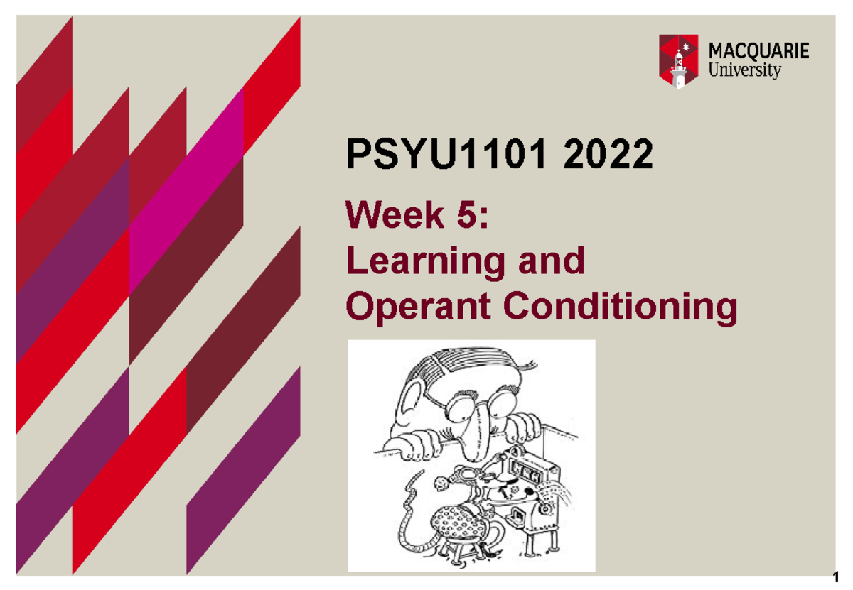 PSYU1101 2022 Week 5 Tutorial Slides 15Mar2022 SV - PSYU1101 202 2 Week 5 : Learning and Operant ...