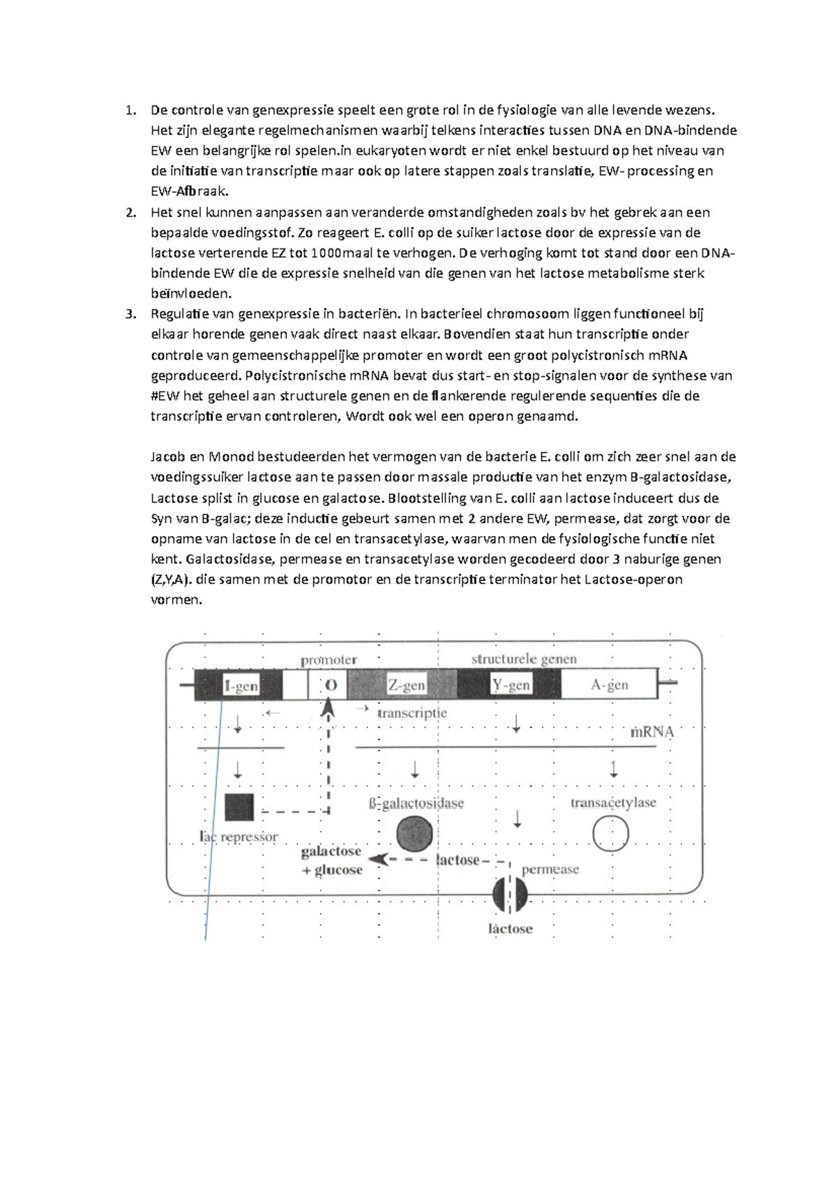 DNA-Tech D1 Genregulatie - De controle van genexpressie speelt een ...