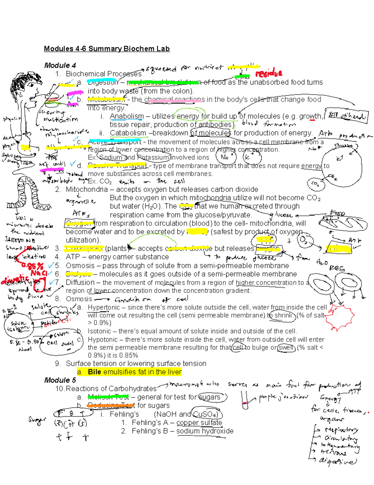 Modules 4 6 Summary Biochem Lab - Modules 4-6 Summary Biochem Lab ...