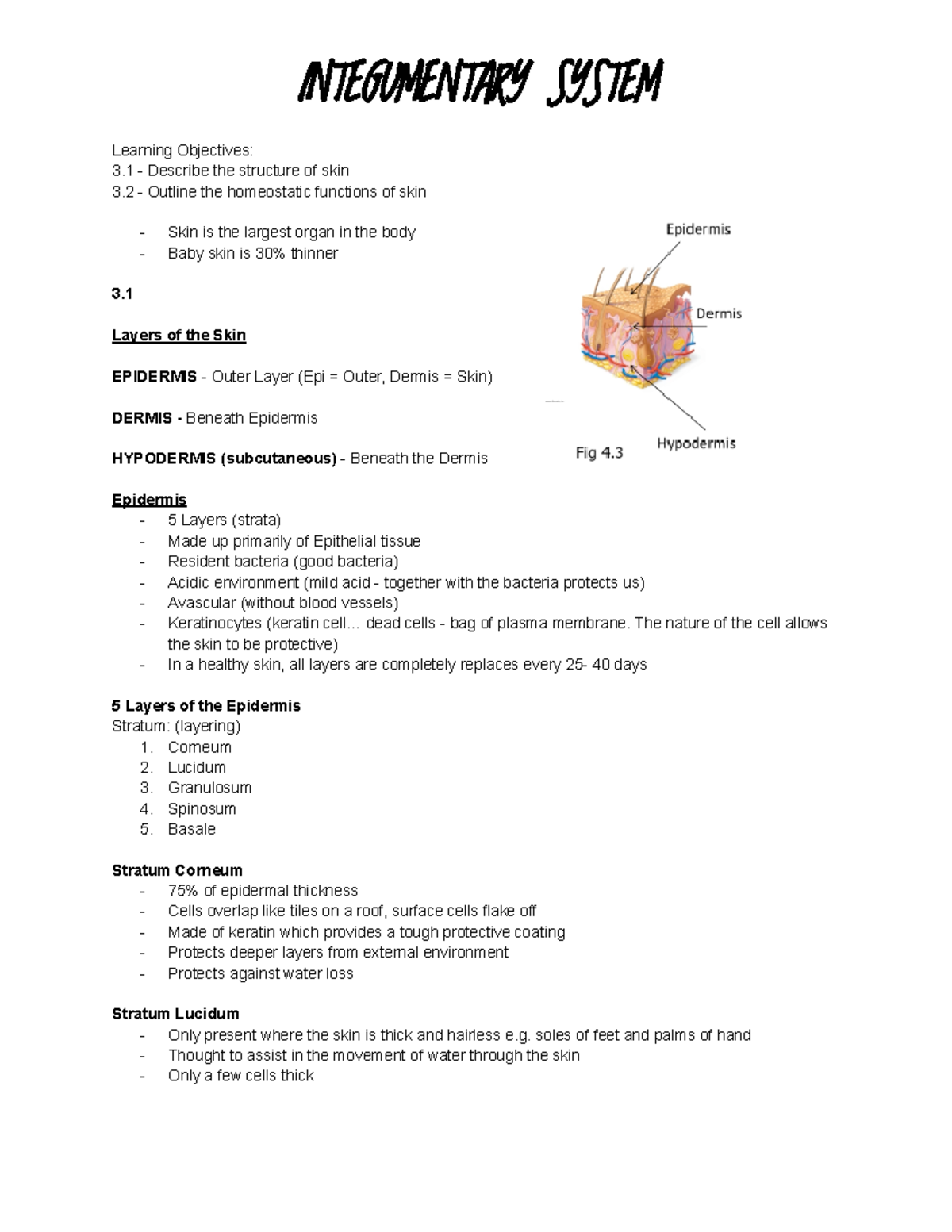 3 Integumentary System - WEEK 2 (Human Anatomy & Physiology 1 ...
