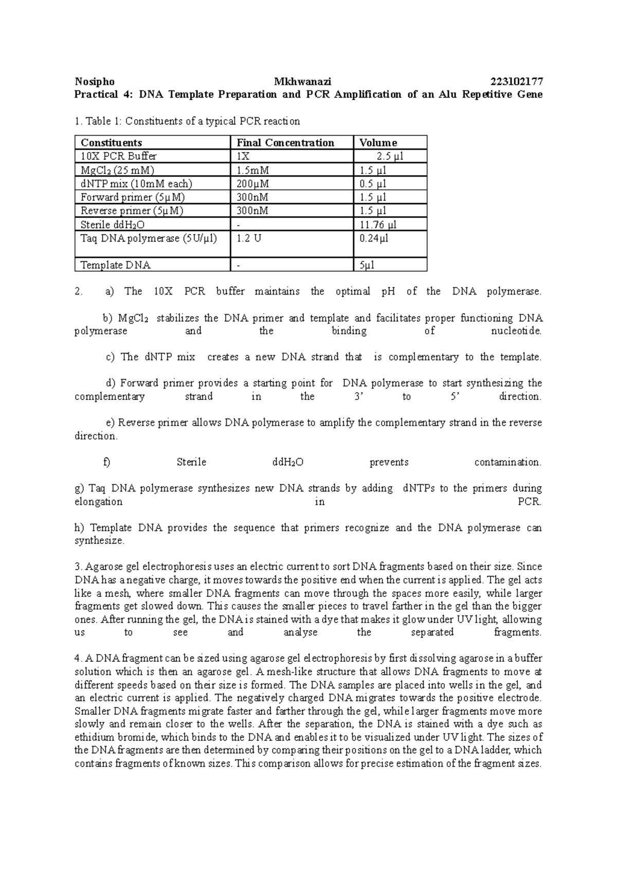 RDNA prac 4 - note - Nosipho Mkhwanazi 223102177 Practical 4: DNA ...