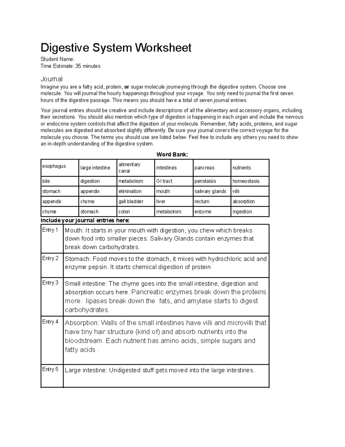 Digestive System Worksheet - Digestive System Worksheet Student Name ...