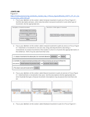 Chapter 4 Lab notes - Pearson Lab Assignment Brian Connell - TISSUES 1 ...
