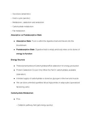 Respiratory - notes - Functions of the Respiratory System Provide ...