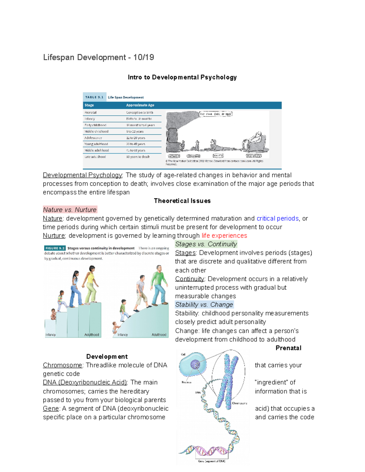 Lifespan Development - 10/19-10/28 - Lifespan Development - 10/ Intro ...