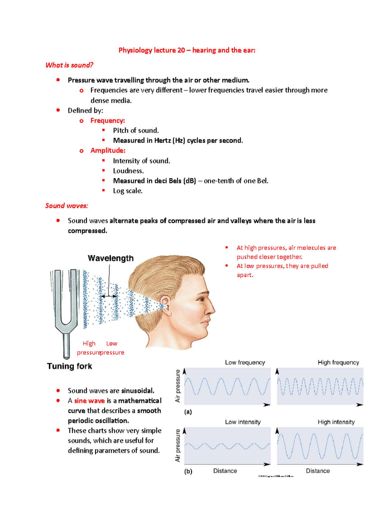 PSC1002 Physiology lecture 20 - hearing and the ear - Physiology ...