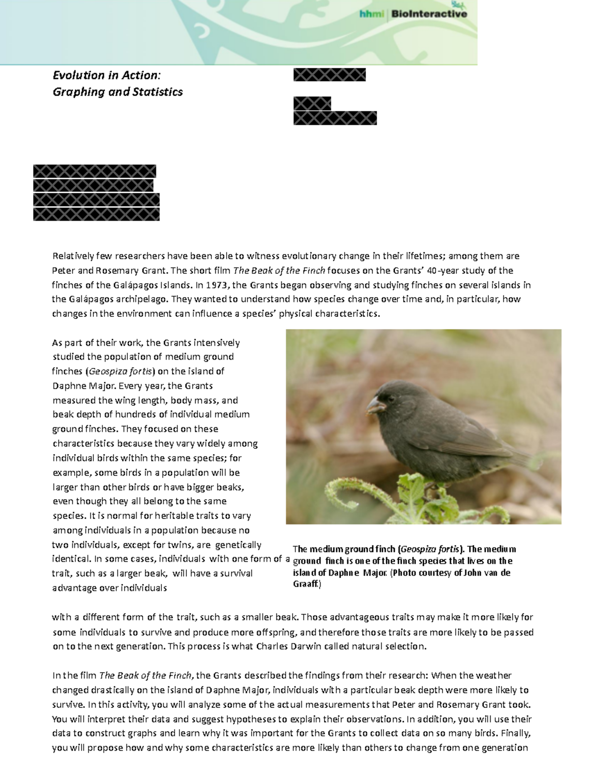 Worksheet 1 - Finch Graph - Evolution in Action: Graphing and ...