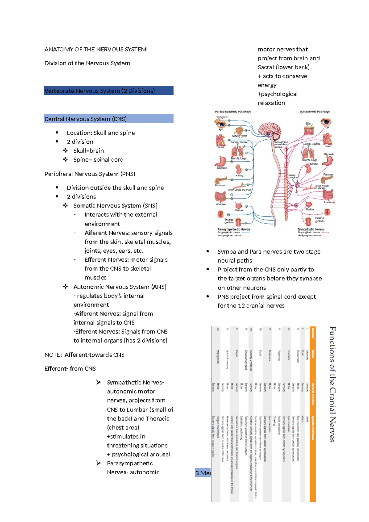 Pinel Chap 3 Bio psych - ANATOMY OF THE NERVOUS SYSTEM Division of the ...