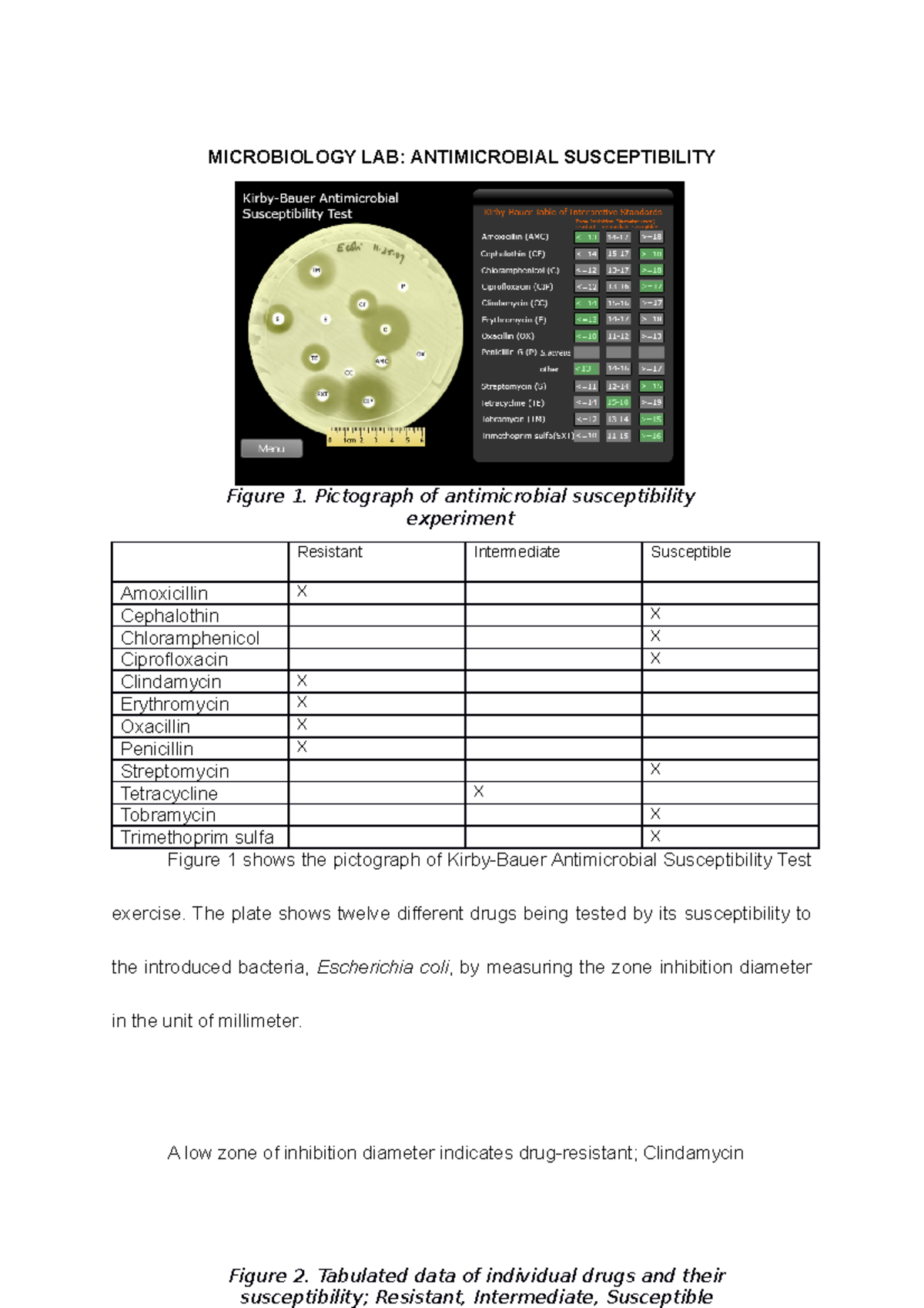Microbiology-LAB-8- Antimicrobial Susceptiblity - MICROBIOLOGY LAB ...